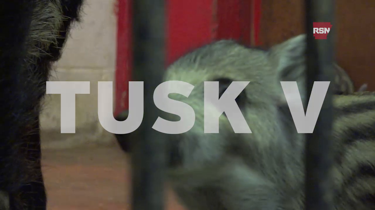 WMT Video System - Football - No Ads - Tusk V Announcement Final